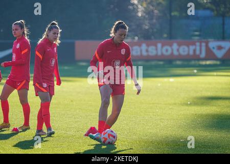 ZEIST, NETHERLANDS - NOVEMBER 14: Fenna Kalma of the Netherlands during ...
