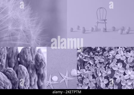 Color of year. Collage with photos in trendy shade on white background ...