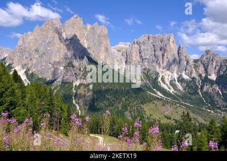 Panoramas of the Alpe Ciampedie, Vigo di Fassa, Val di Fassa, Trento ...