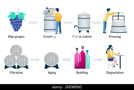 Alcohol distillation process. Fermentation, distillation, aging and ...