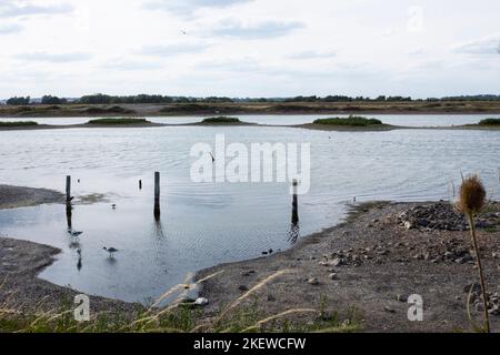 Inland saltwater pools at Rye Harbour Nature Reserve, Rye, Sussex Stock ...