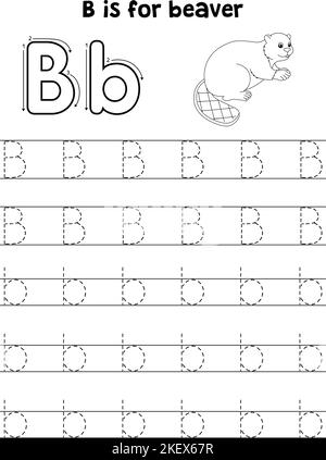 Beaver Alphabet ABC Coloring Page B Stock Vector Image & Art - Alamy
