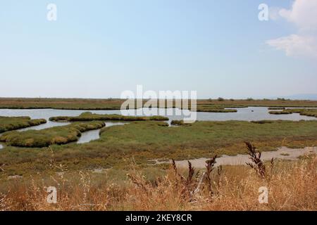 Delta Evros National Park, Evros Thraki Greece Stock Photo - Alamy