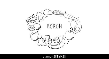 Boron-containing food. Groups of healthy products containing vitamins ...