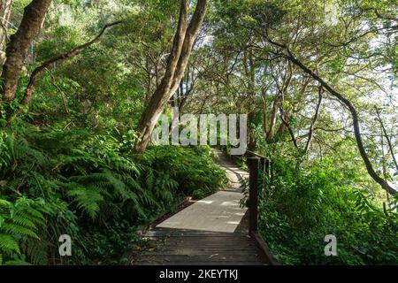 The Curlew Camp Artists' Walk along the shore in Sydney Harbour ...