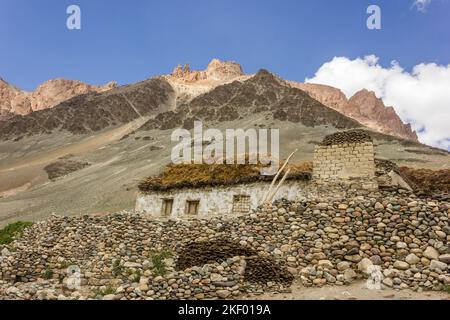 Zanskar, India - July 2012: Old white traditional houses set in green ...