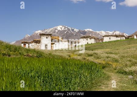 Zanskar, India - July 2012: Old, rustic traditional stone walls and ...