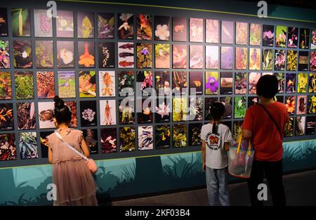 Visitors are watching the exhibits at the Xishuangbanna Tropical ...