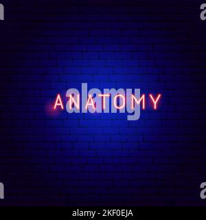 muscle human anatomy neon glow icon illustration Stock Vector Image ...