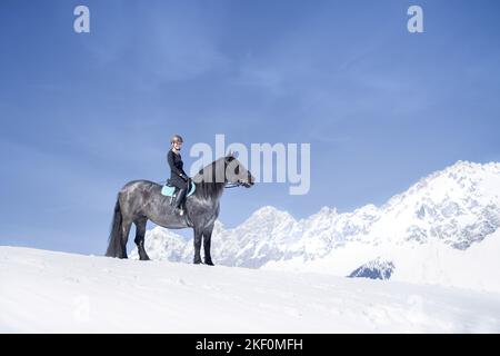 woman rides Noriker Horse Stock Photo - Alamy