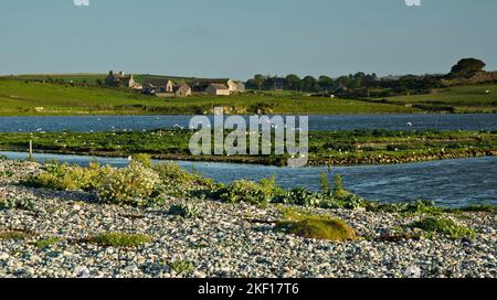 Cemlyn Bay Anglesey North Wales Stock Photo - Alamy