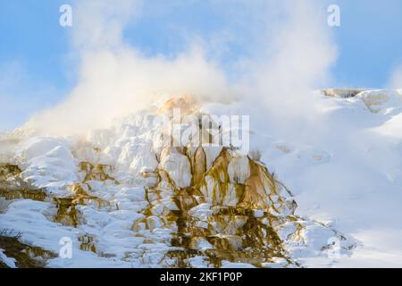 Canary Spring in winter, Mammoth Hot Springs, Yellowstone National Park ...