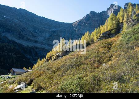 Wildnis im Val Nedro, einem schwer zugänglichen Seitental der Leventina ...