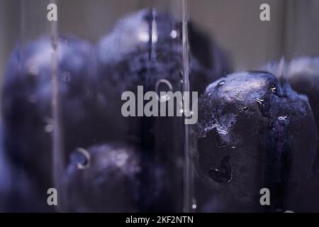 Fresh Blueberries in a clear container Stock Photo - Alamy
