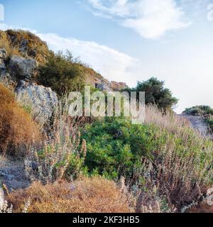 Wilderness by the Mediterranean Sea, Bodrum, Turkey. Wilderness by the ...