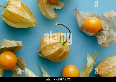 Several Physalis fruits with shell scattered on blue background. Copy ...