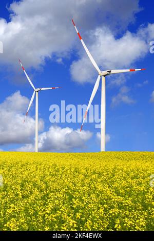 Windräder im Rapsfeld, Sommer, blauer Himmel und Cumuluswolken ...