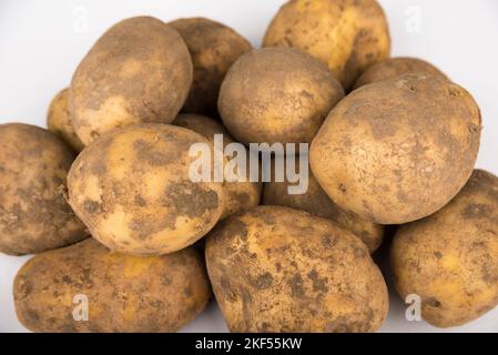 Stack of unwashed potatoes on a white background Stock Photo - Alamy