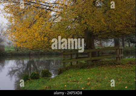 Autumnal scenery in Dedham Vale. Colourful trees by the river Stour ...