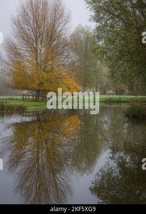 Autumnal scenery in Dedham Vale. Colourful trees by the river Stour ...