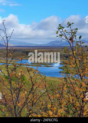 A vertical shot of a field river against the mountains background Stock ...