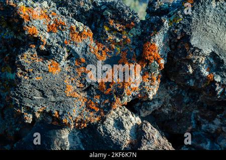 Photograph from the Craters of the Moon National Monument near Arco ...