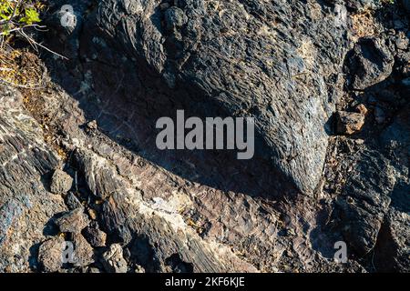 Photograph of a tree mold, where lava cooled on the bark of a downed ...