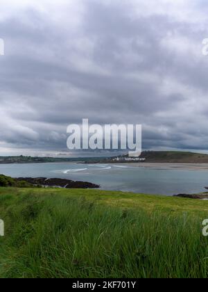 View of Clonakilty Bay. Thick grass, coastline of the Ireland. Seaside ...