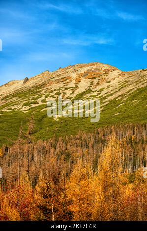 The Slavkovsky Peak, Tatra National Park, Slovakia Stock Photo - Alamy
