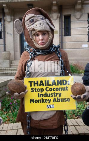 PETA protests at the Royal Thai Embassy in Washington DC to protest the ...