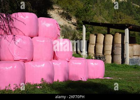 Pink Hay Bales or Straw Bales Covered in Shocking Pink Plastic or Polythene and Hay Barn on Farm ...
