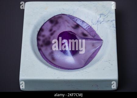 Kenyan cuisine includes ugali, chapati, githeri, goat, Nyama Choma ...