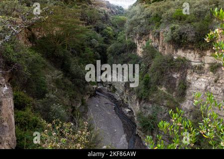 Hell's Gate National Park lies south of Lake Naivasha in Kenya, north ...