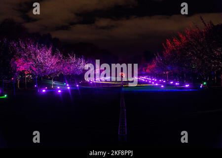 Neon Waves installation by Christopher Wren and Jason Cochran as part ...