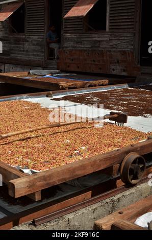 cloves spice drying production Grenada caribbean island Stock Photo - Alamy