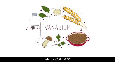 Vanadium-containing food. Groups of healthy products containing ...