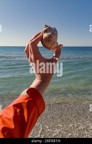 Close up high quality image of cutted salacca halves, fruit composition ...