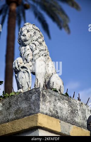 Lion shaped capital with palms and a clear sky as background Stock ...