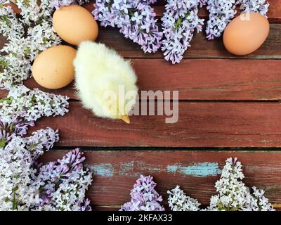 Brown eggs of domestic hens and lilac flower on old red wood texture ...