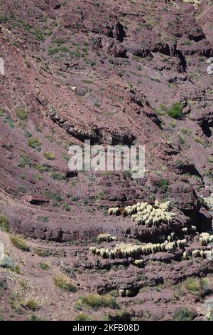 Haute vallee du Cians, Parc National du Mercantour, Alpes Maritimes, 06 ...