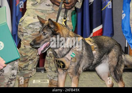 Lt. Gen. Theodore D. Martin, commanding general for the U.S. Army ...