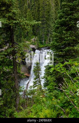 Colonnade Falls in Yellowstone National Park is a striking waterfall ...