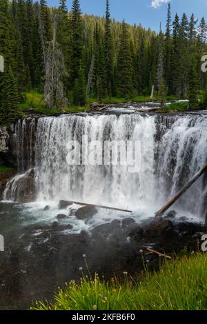 A view of Iris Falls along the Bechler River in the SW portion of ...