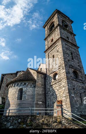 Piona, Italy - 03-02-2021: a garden with many olive trees and in the ...