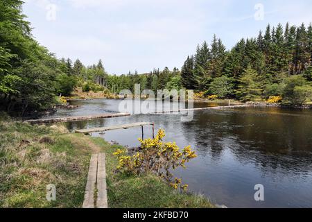 The River Inver, Lochinver, Scotland, UK Stock Photo - Alamy