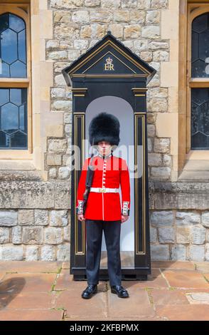 King's Life Guard in infantry contingent at Changing of the Guard ...