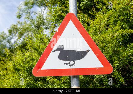 Caution Ducks Crossing Uk Road Traffic Sign Signs Roadsigns Stock Photo ...