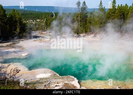 A morning view of Emerald Spring, Norris Geyser Basin; Yellowstone ...