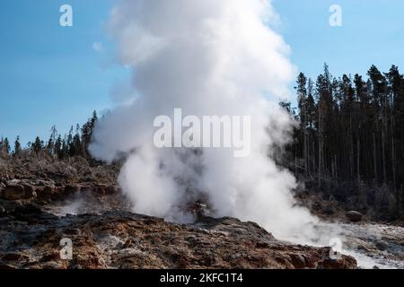 A morning view of Steamboat Geyser, Norris Geyser Basin; Yellowstone ...