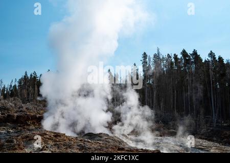 A morning view of Steamboat Geyser, Norris Geyser Basin; Yellowstone ...